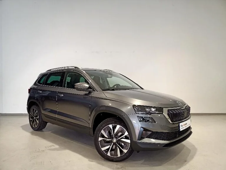 SKODA KAROQ 1.5 TSI 110KW (150CV) DSG ACT SPORTLINE de segunda mano ...